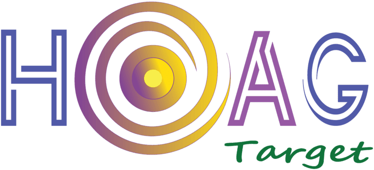 Hoag Madagascar – Conseil en transformation digitale et insertion